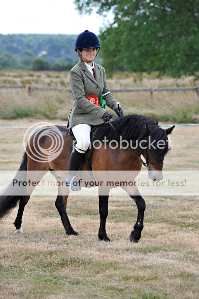 Adults who ride ponies | Horse and Hound Forum